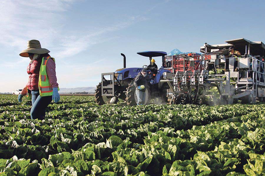 Potential and Constraints of Agricultural Mechanization in Ghana ...