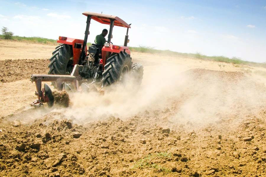 The Most Common Crops Grown with Tractors in Ghana - Massey Ferguson Ghana